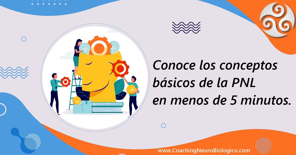 PNL | Programación Neurolingüística | Coaching Neurobiológico.