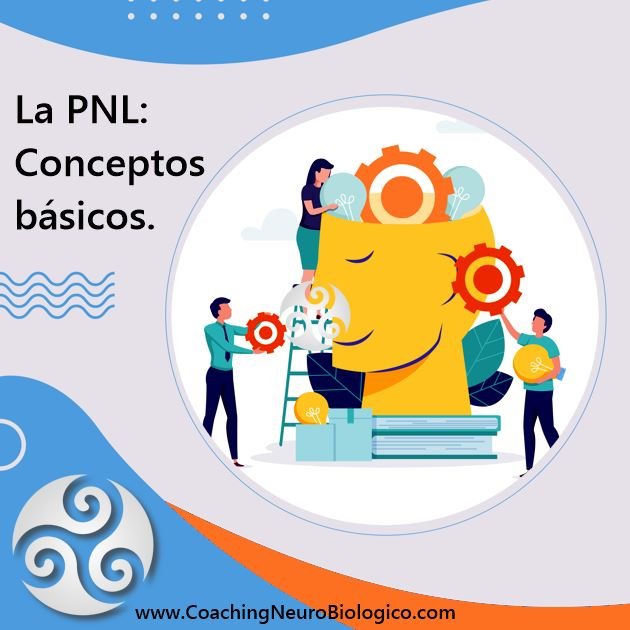 PNL | Programación Neurolingüística | Coaching Neurobiológico.
