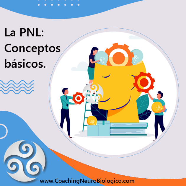 PNL | Programación Neurolingüística | Coaching Neurobiológico.